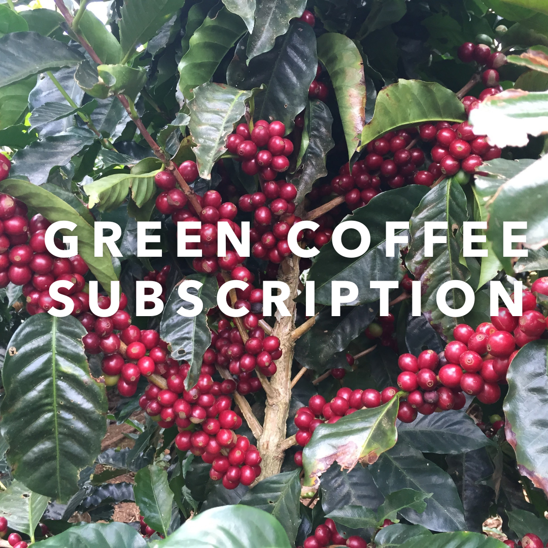 Transcend Green Coffee Subscription – Transcend Coffee & Roastery