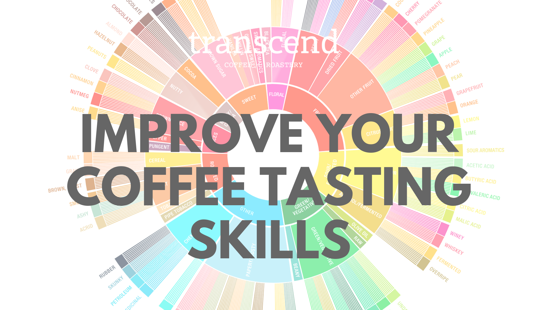 Improve your tasting skills - Transcend Coffee – Transcend Coffee ...