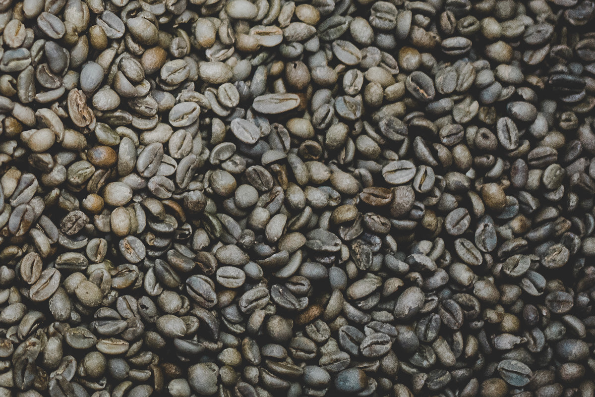 Raw Green Coffee – Transcend Coffee & Roastery